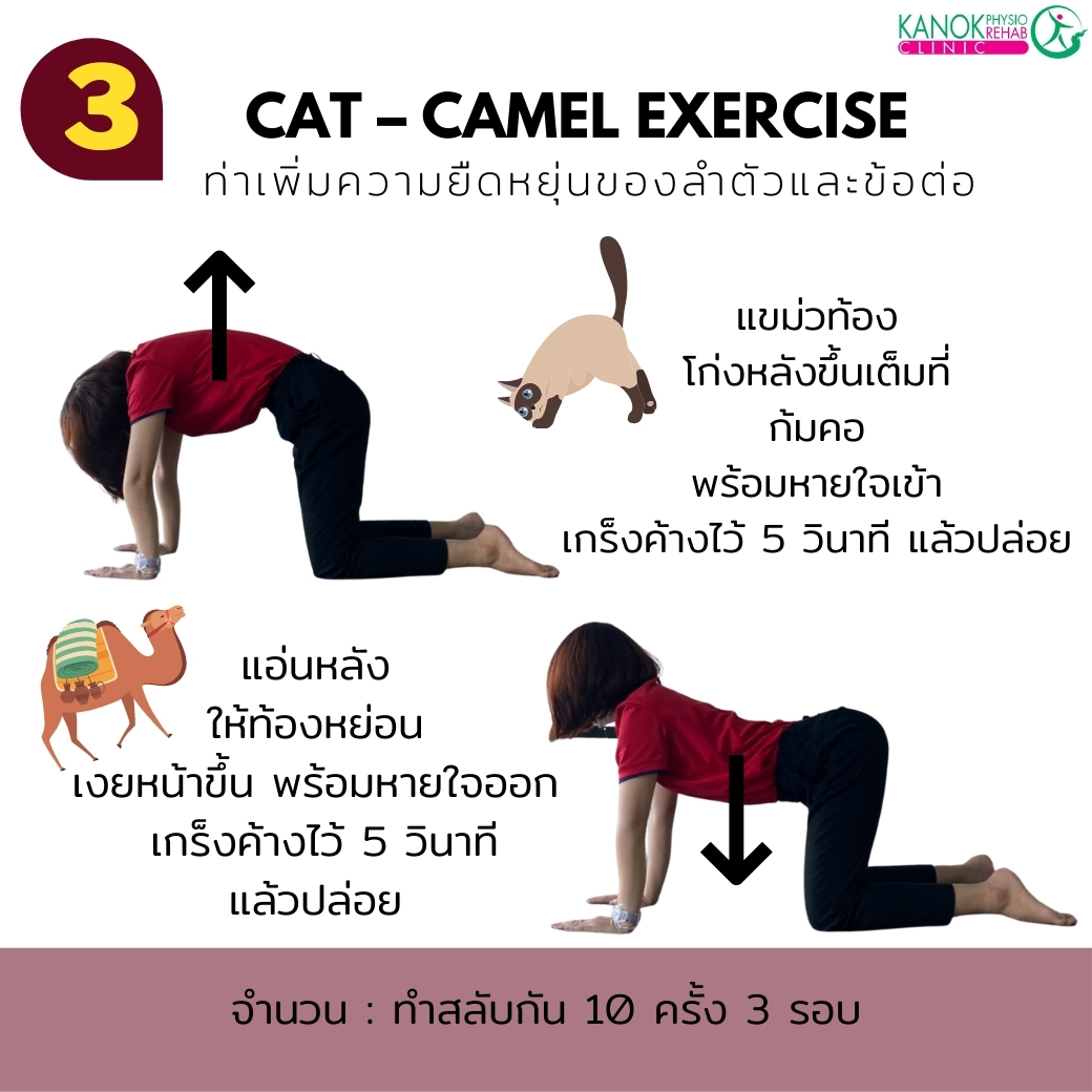 5 ท่า "บริหารหลัง" สุดมหัศจรรย์ ลดอาการปวดหลัง - กนก คลินิกกายภาพบำบัด ...